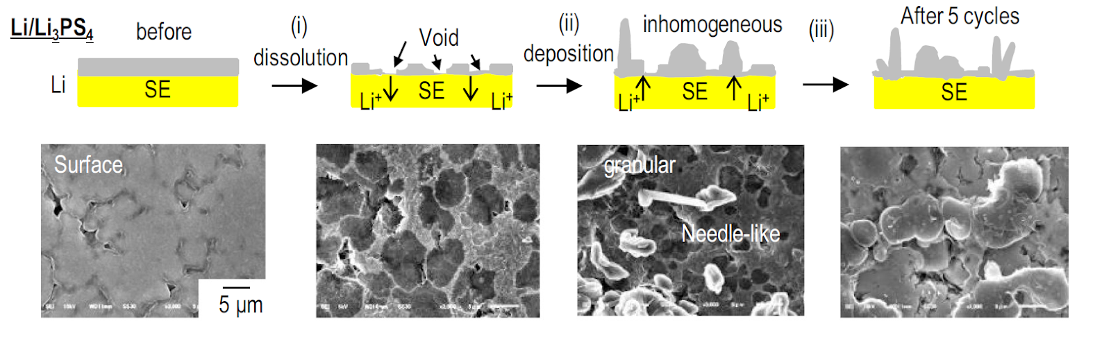 Solid-State Li Batteries Failure Analysis | SEM Case Study