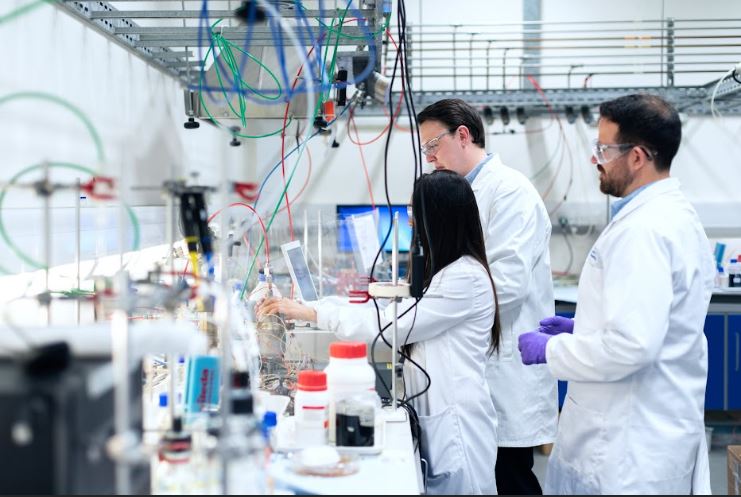 Test for Sulphated Ash and Total Ash