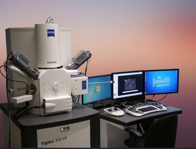 Antimicrobial Efficacy Testing