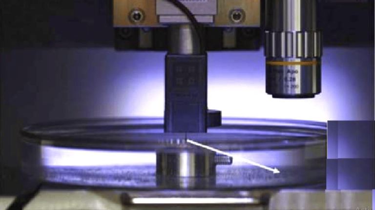 Rheological Properties of Polymers Guide | Viscosity, Moduli & Testing