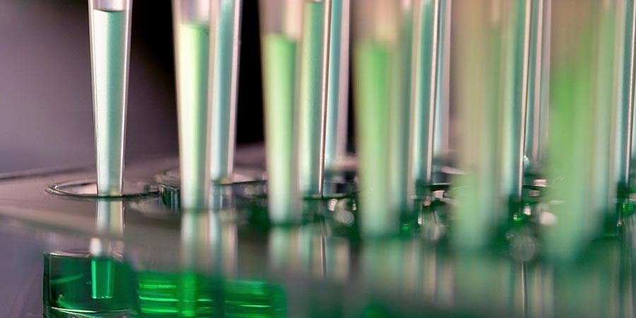 Advancements in Biodegradable Plastic Technology | Infinita Lab