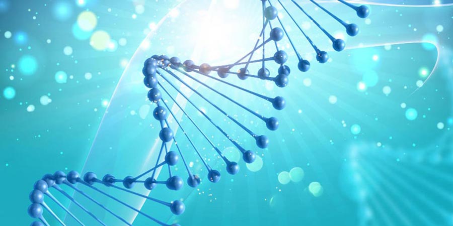 Genotoxicity and its SIgnificance | Infinita Lab