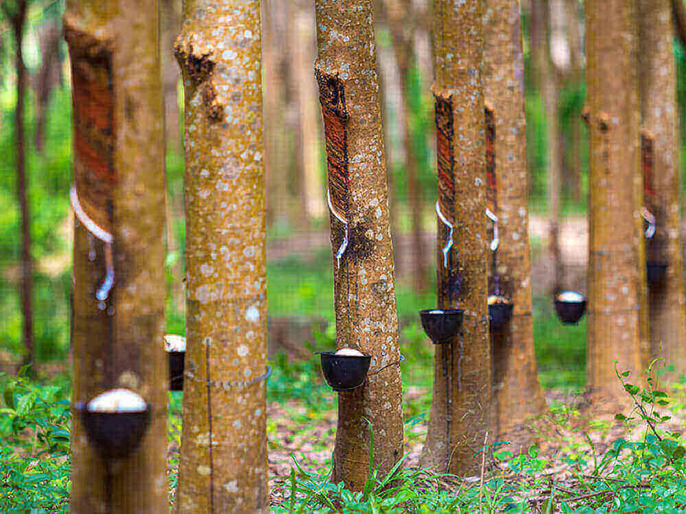 Rubber Testing Lab in USA | AccurateRubber Quality Testing – Infinita Lab