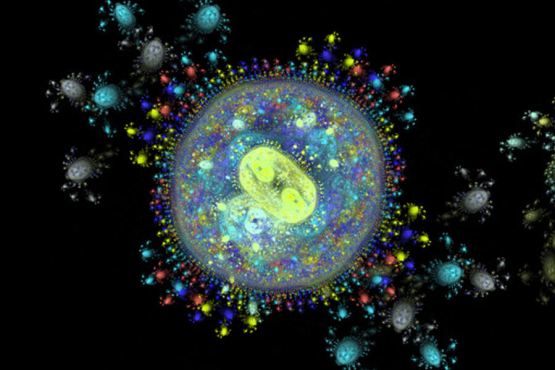 Energy Dispersive X-Ray Spectroscopy its Characteristics | Infinta Lab