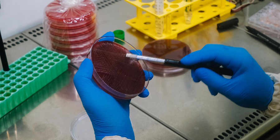 Importance of Frequency in Rubber and Polymer testing with DMA.