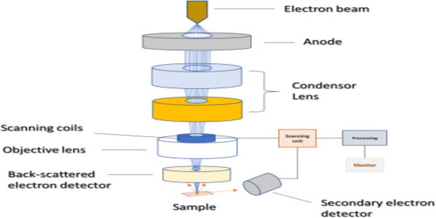 Field Emission SEM for High-Resolution Imaging | Infinita Lab